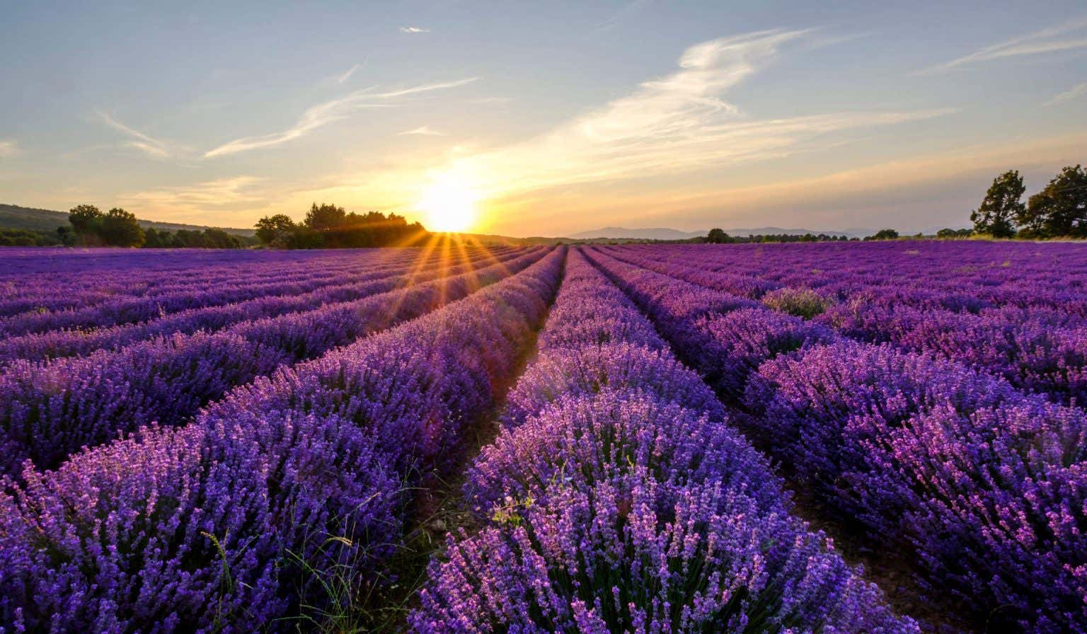 O que fazer na Provença: lugares imperdíveis para visitar e ver ...