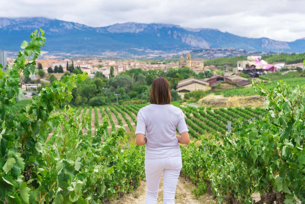 Qué bodegas visitar en La Rioja | Civitatis Magazine
