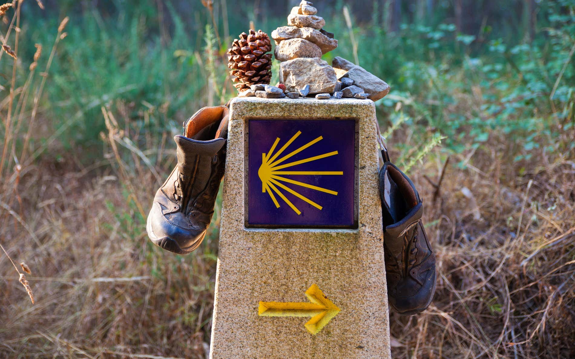 Film Vuoto Sci Fotos Del Camino De Santiago Foglio Tattica Grato Film Vuoto Sci Fotos Del Camino De Santiago Foglio Tattica Grato