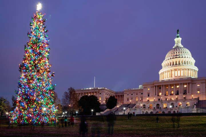 Dazzling light displays to brighten up your holiday season | Civitatis