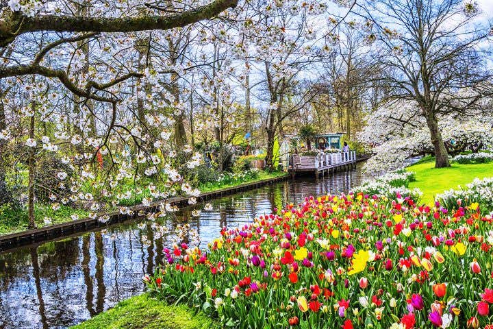 The Most Beautiful Parks in the World to Enjoy Spring | Civitatis