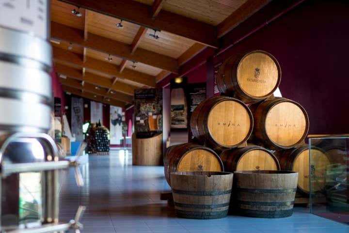 Las 10 mejores bodegas de la Ribera del Duero