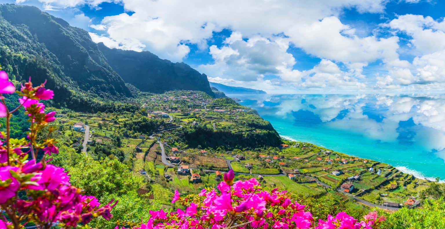 Top 14: What to Do in Madeira, Portugal (2026) | Civitatis