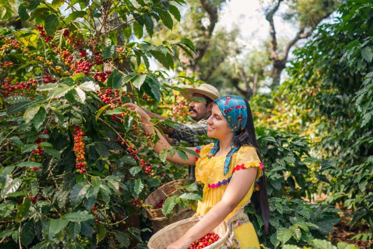 Qué hacer en el Eje Cafetero | Civitatis Magazine