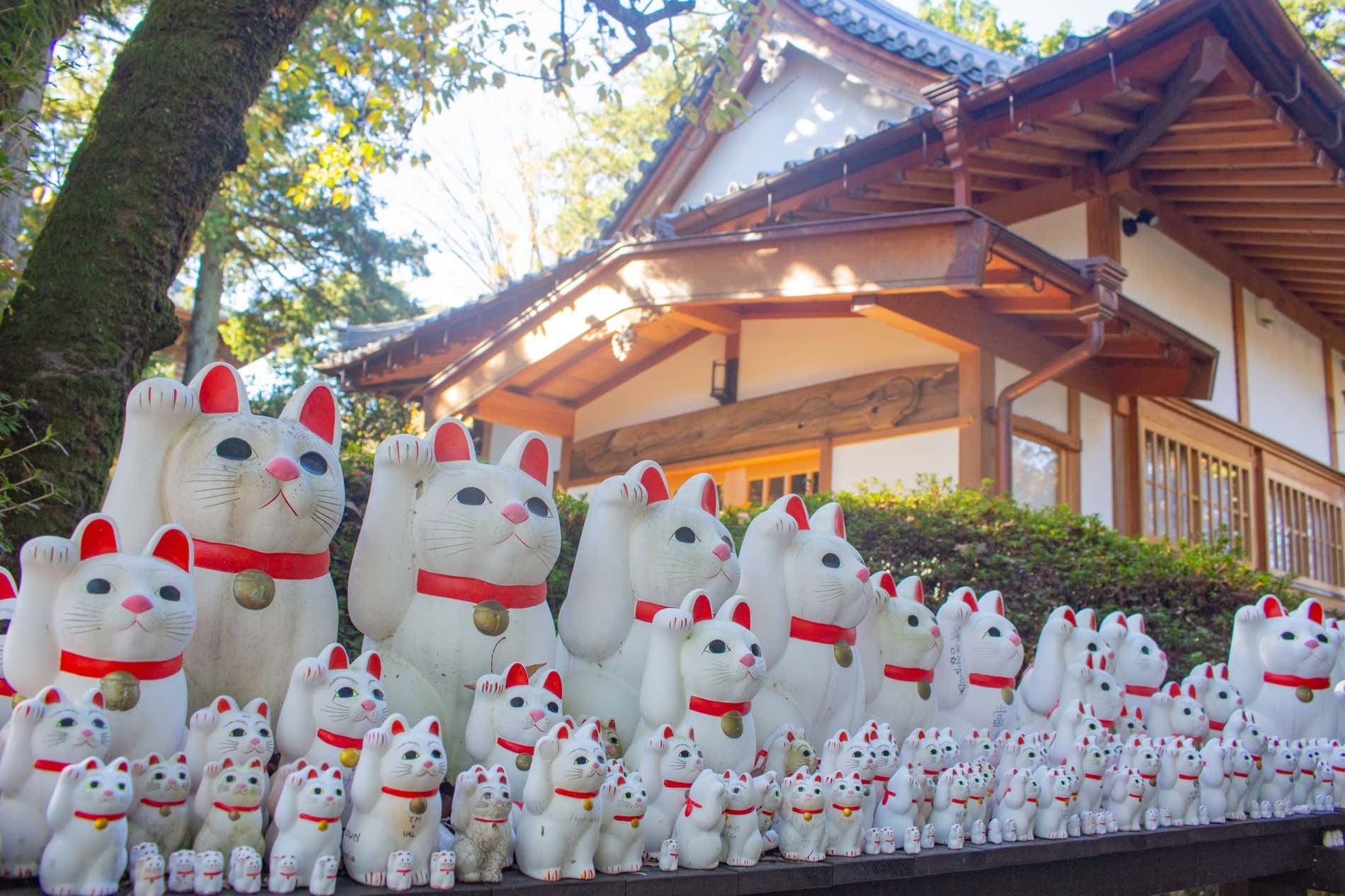 Le 10 attività più curiose da fare a Tokyo | Civitatis