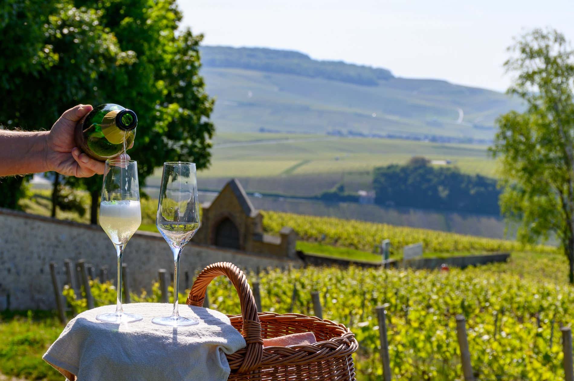 Route du Champagne : des circuits touristiques et œnologiques | Civitatis