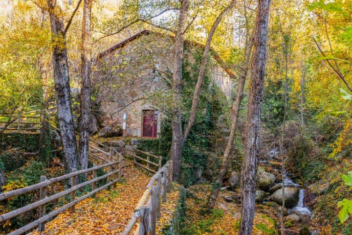 Otoño mágico en el Valle del Ambroz: qué se celebra y qué ver