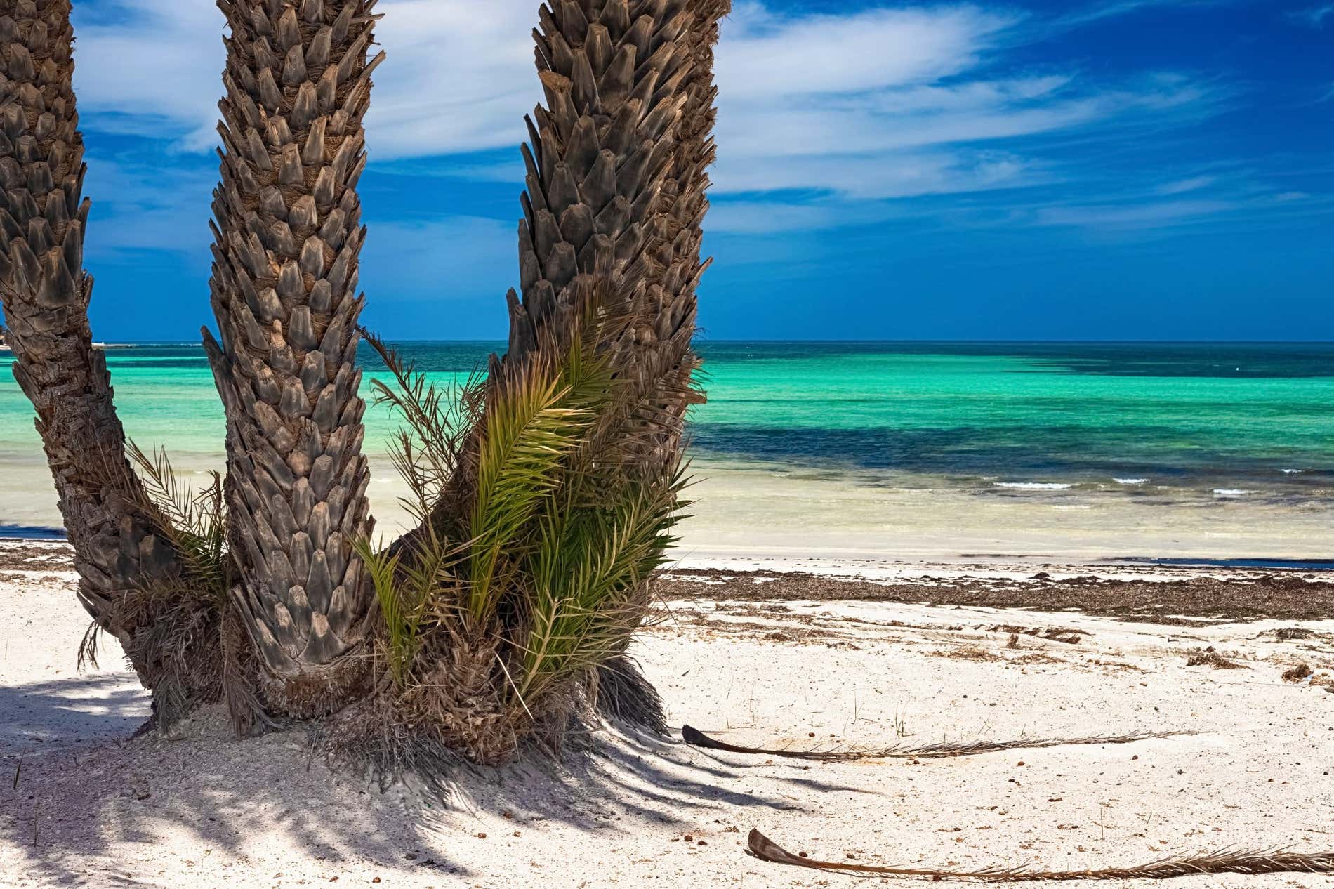 O que visitar em Djerba: as melhores atrações da ilha tunisiana
