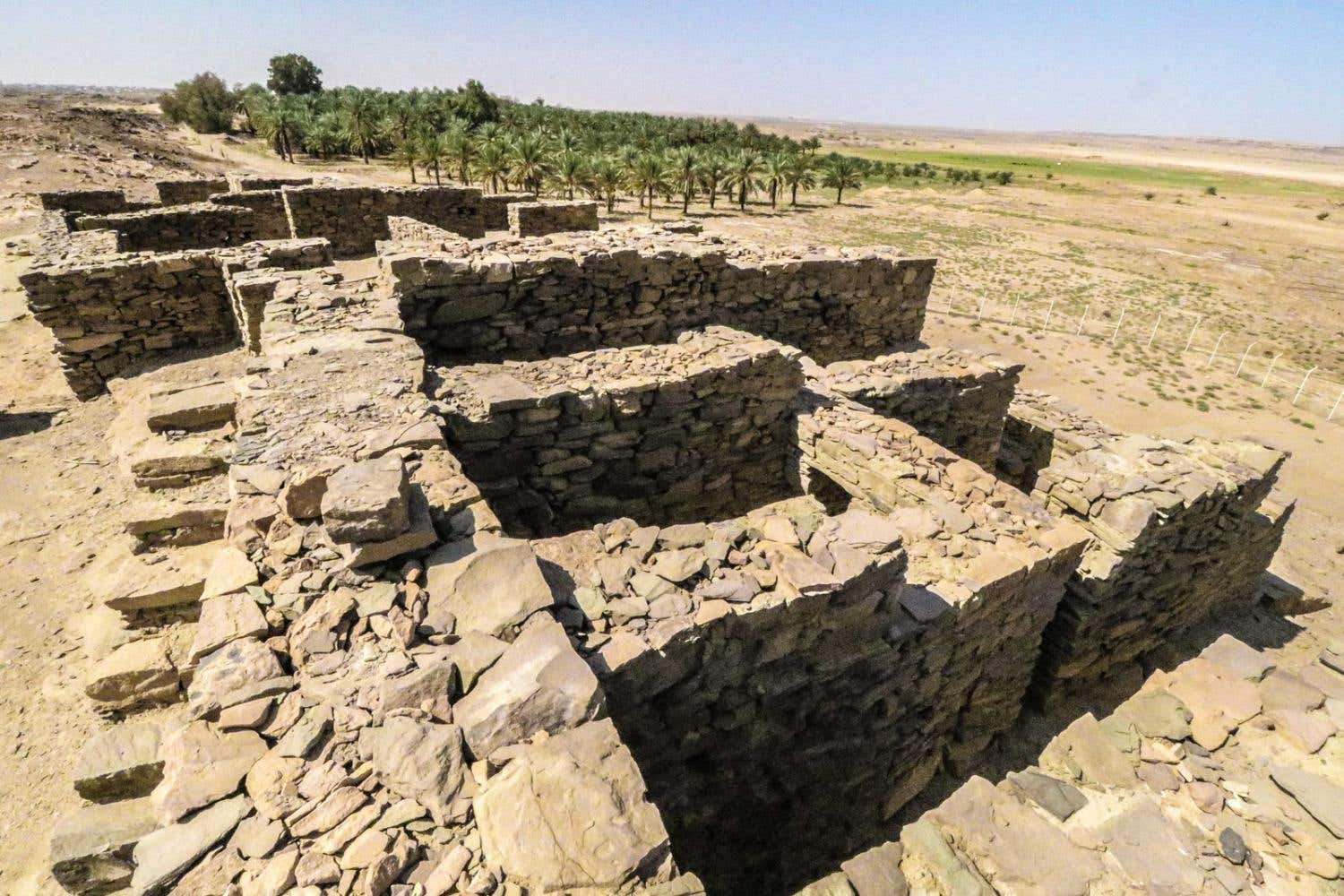 Excursion à Tayma depuis Al-Ula - Réservez sur Civitatis.com
