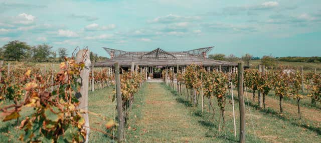 Visita a la bodega Gamboa, Campana - Civitatis.com