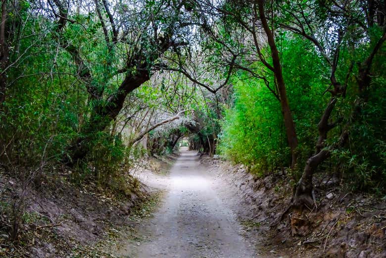 Escursione a San Marcos Sierras, Cordoba