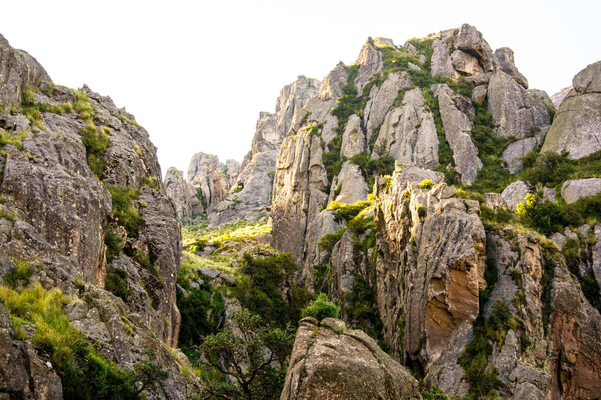 Trekking por el macizo de Los Gigantes desde Córdoba