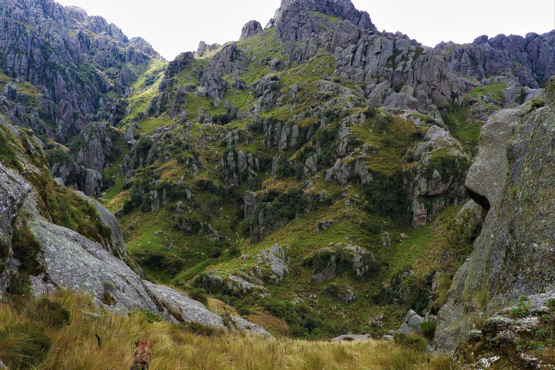 Trekking por el macizo de Los Gigantes - Reserva en Civitatis.com