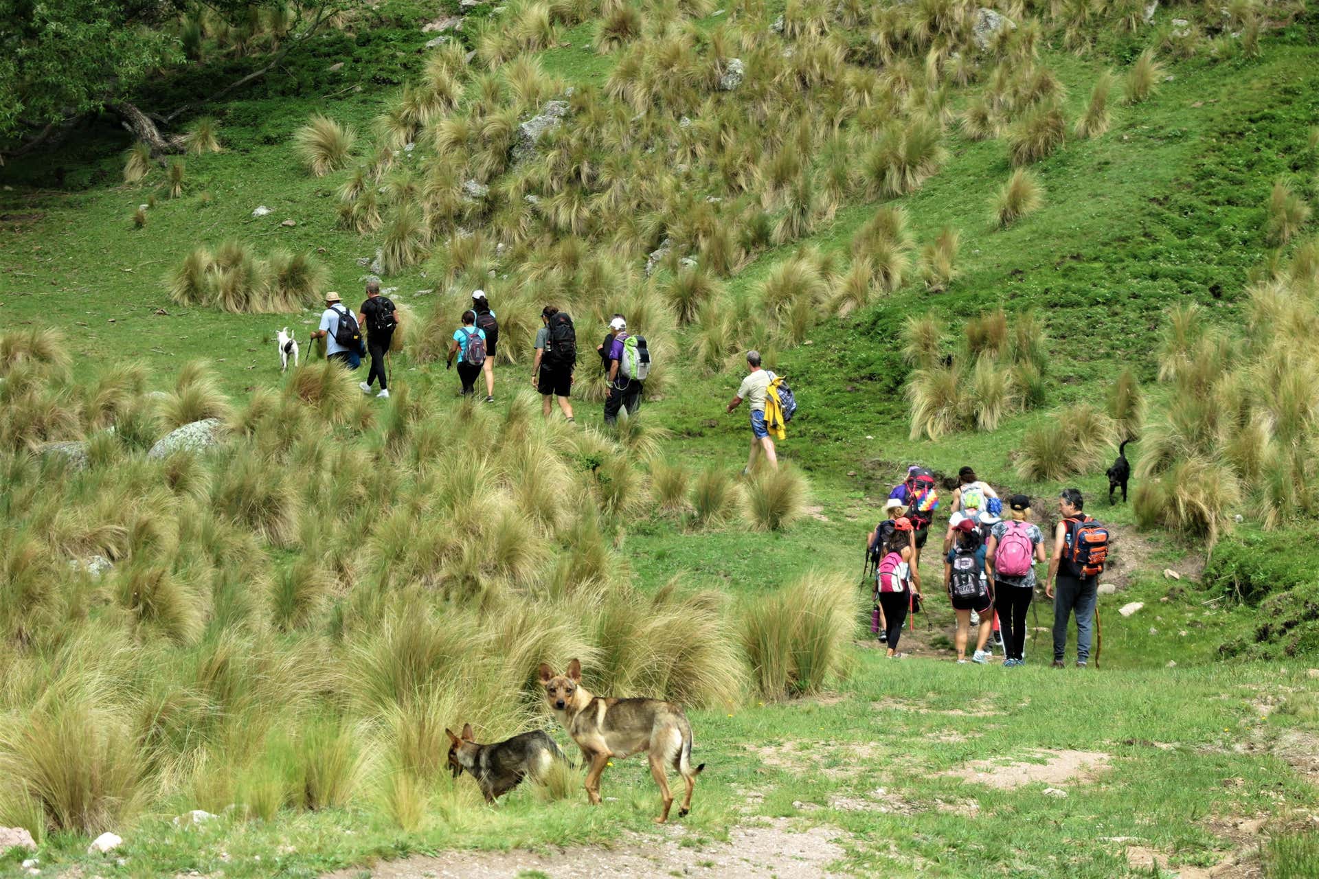 Easy Hiking and Canyoning in Valle de Los Lisos, Los Gigantes