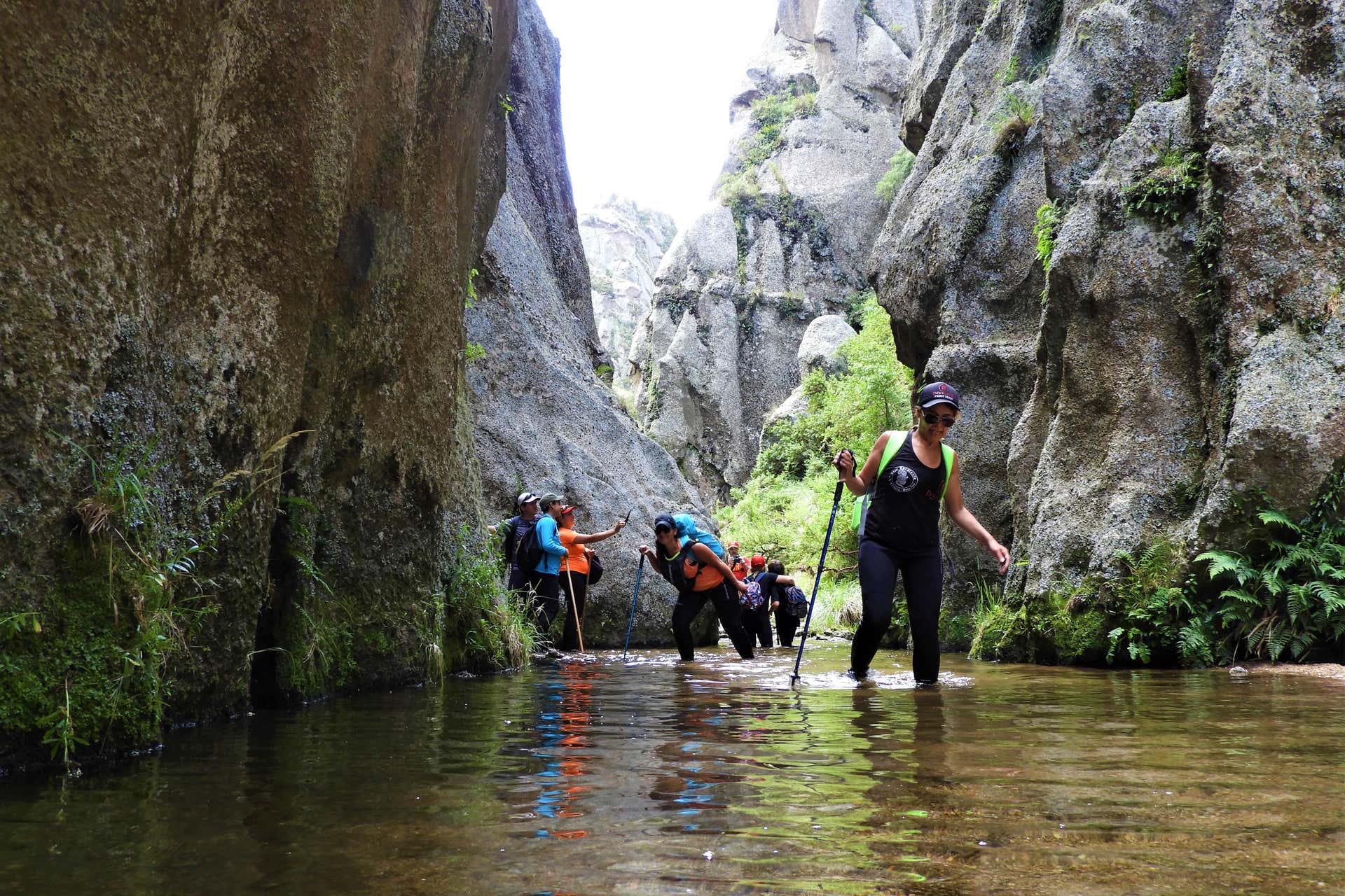 Valle de los Lisos Hiking and Canyoning, Los Gigantes