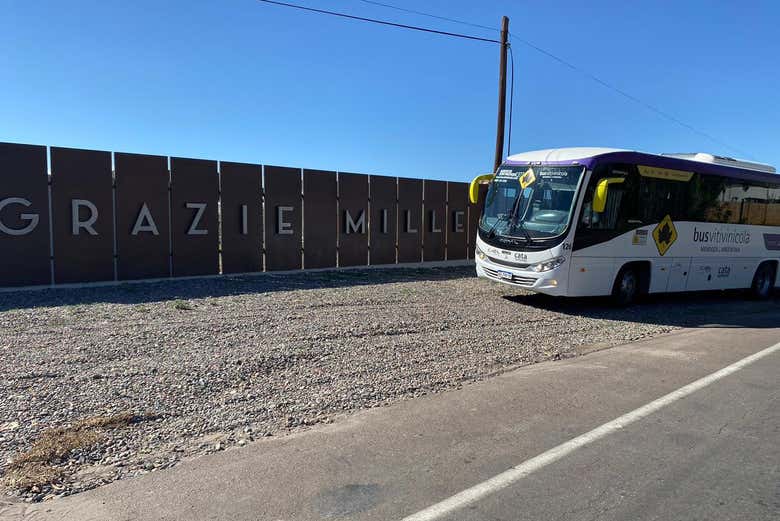 Tour por la zona vitivinícola del Camino del Vino El Cepillo, Mendoza ...
