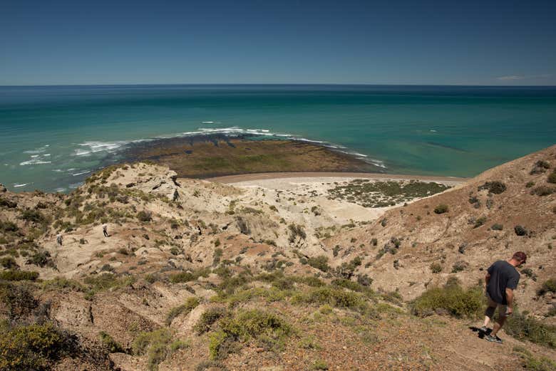 Escursione a Punta Ninfas da Puerto Madryn - Civitatis.com