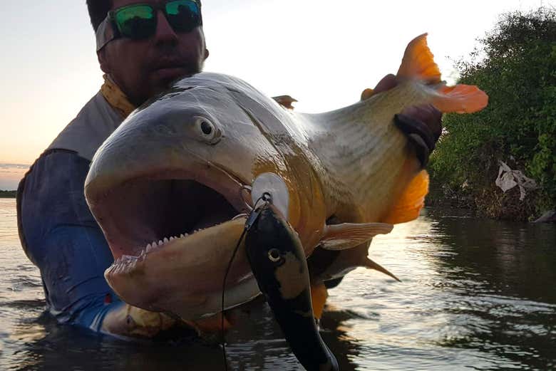 Pesca en el río Paraná desde Rosario - Reserva en Civitatis.com