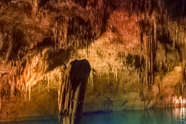 Excursion dans le parc national de Los Cardones + Trek sur le pont du ...