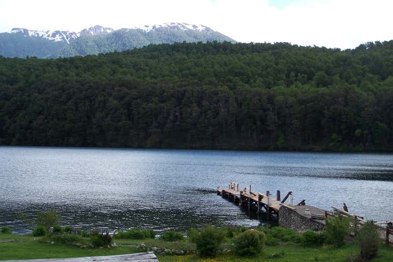 Excursion à Quila Quina, San Martín de los Andes