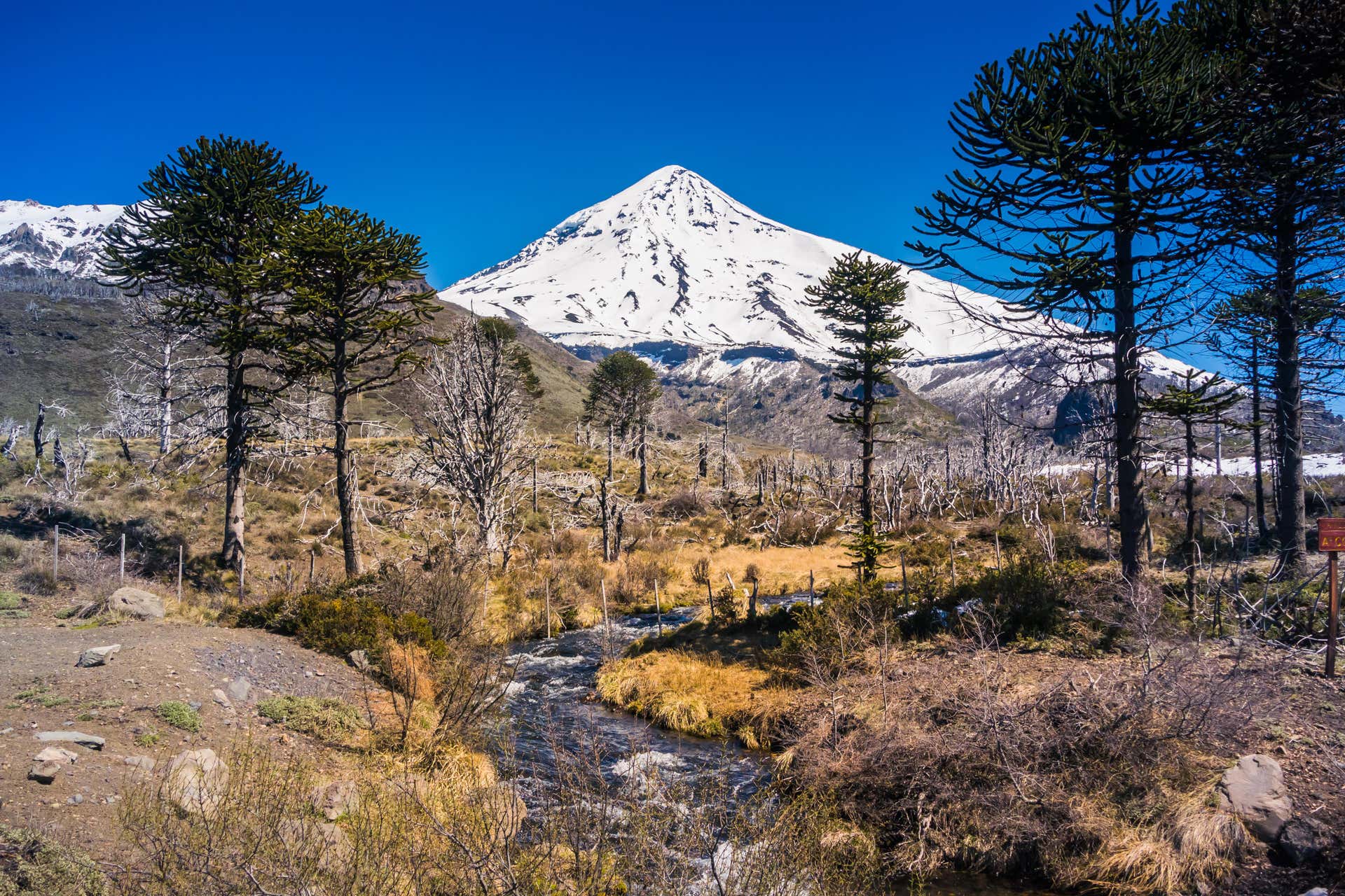 Trekking por el volcán Lanín desde San Martín de los Andes