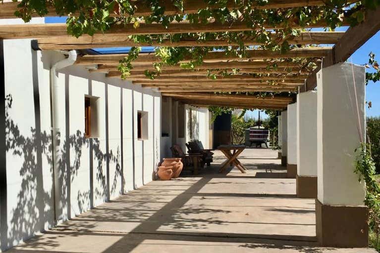 San Rafael Vineyards & Wineries Tour - Book at Civitatis.com