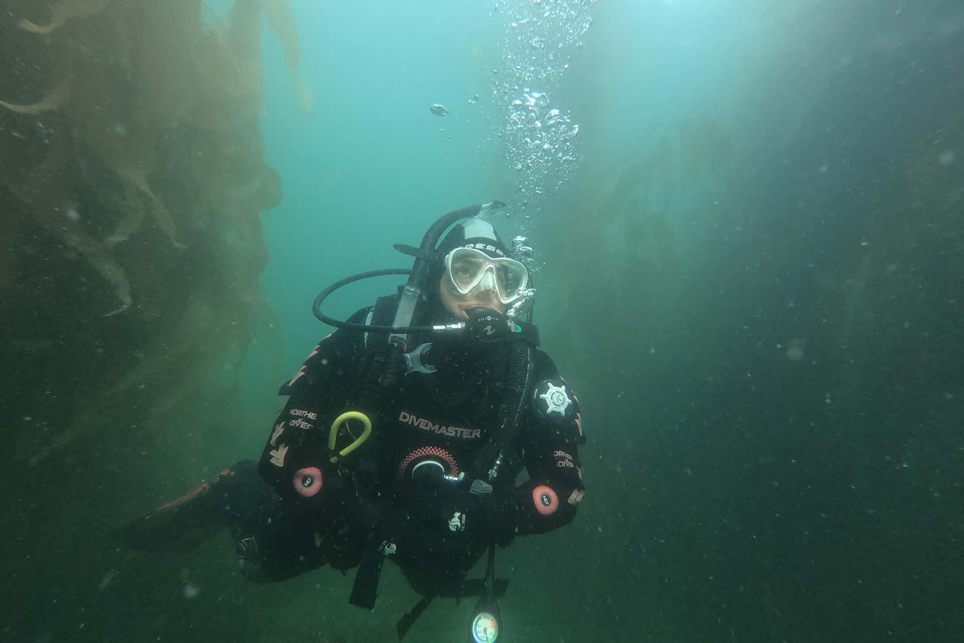 Beagle Channel Diving from Ushuaia - Book Online at Civitatis.com