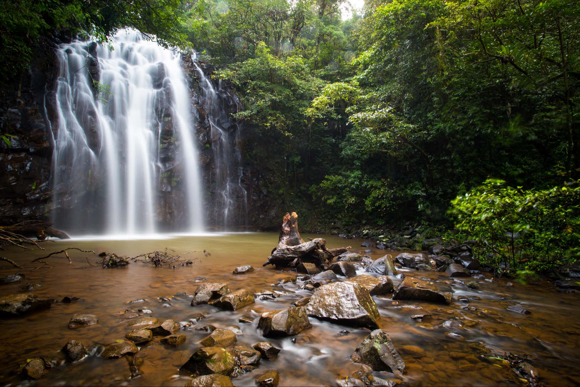 Excursión a Atherton Tablelands desde Cairns - Civitatis.com
