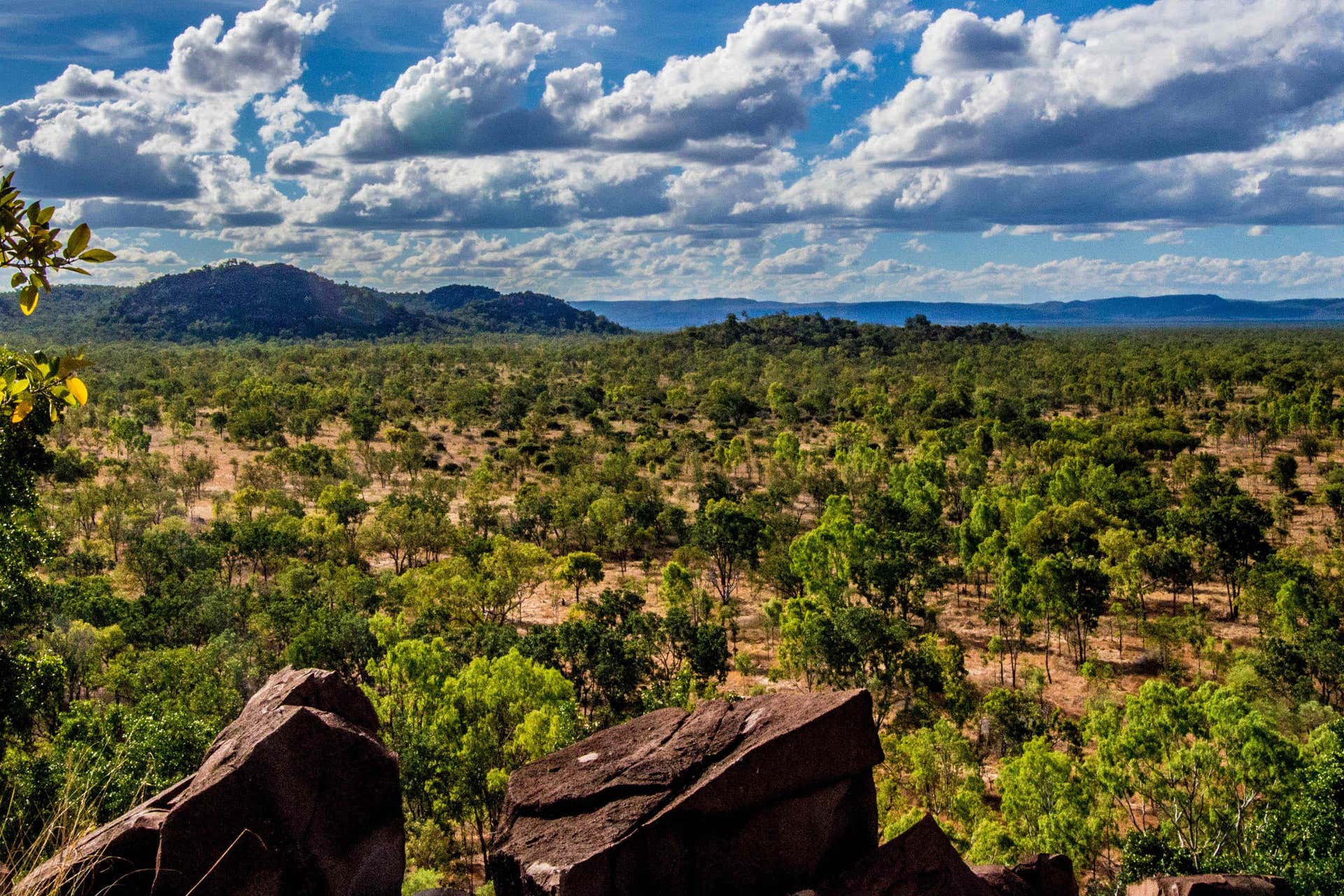Outback & Chillagoe Day Trip from Cairns - Book at Civitatis.com