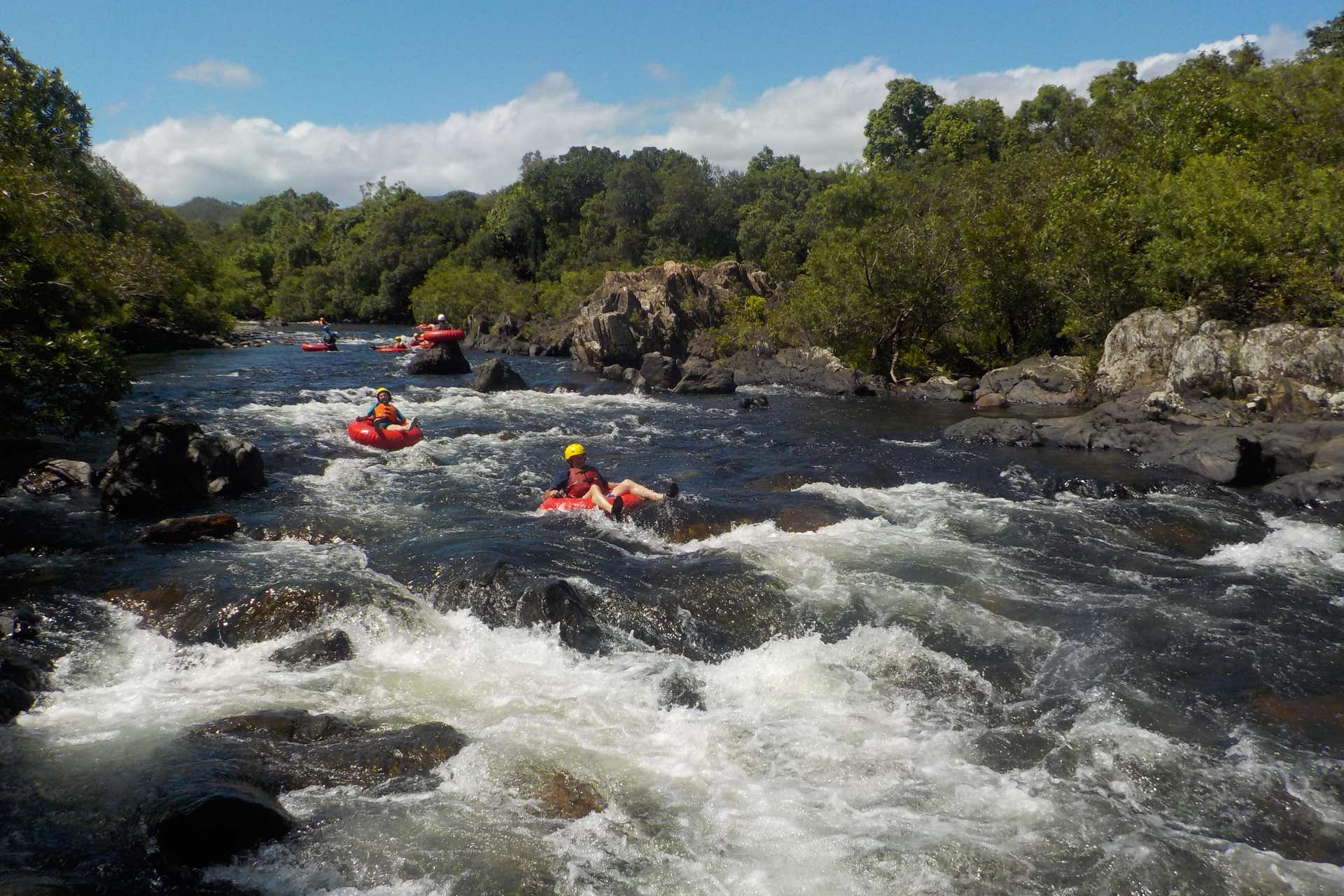 Rainforest River Tubing in Cairns - Book Online at Civitatis.com