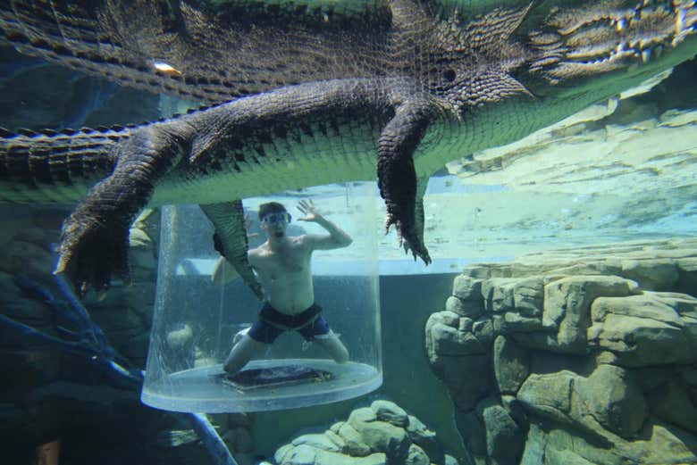 Entrada a la Crocosaurus Cove de Darwin - Reserva en Civitatis.com