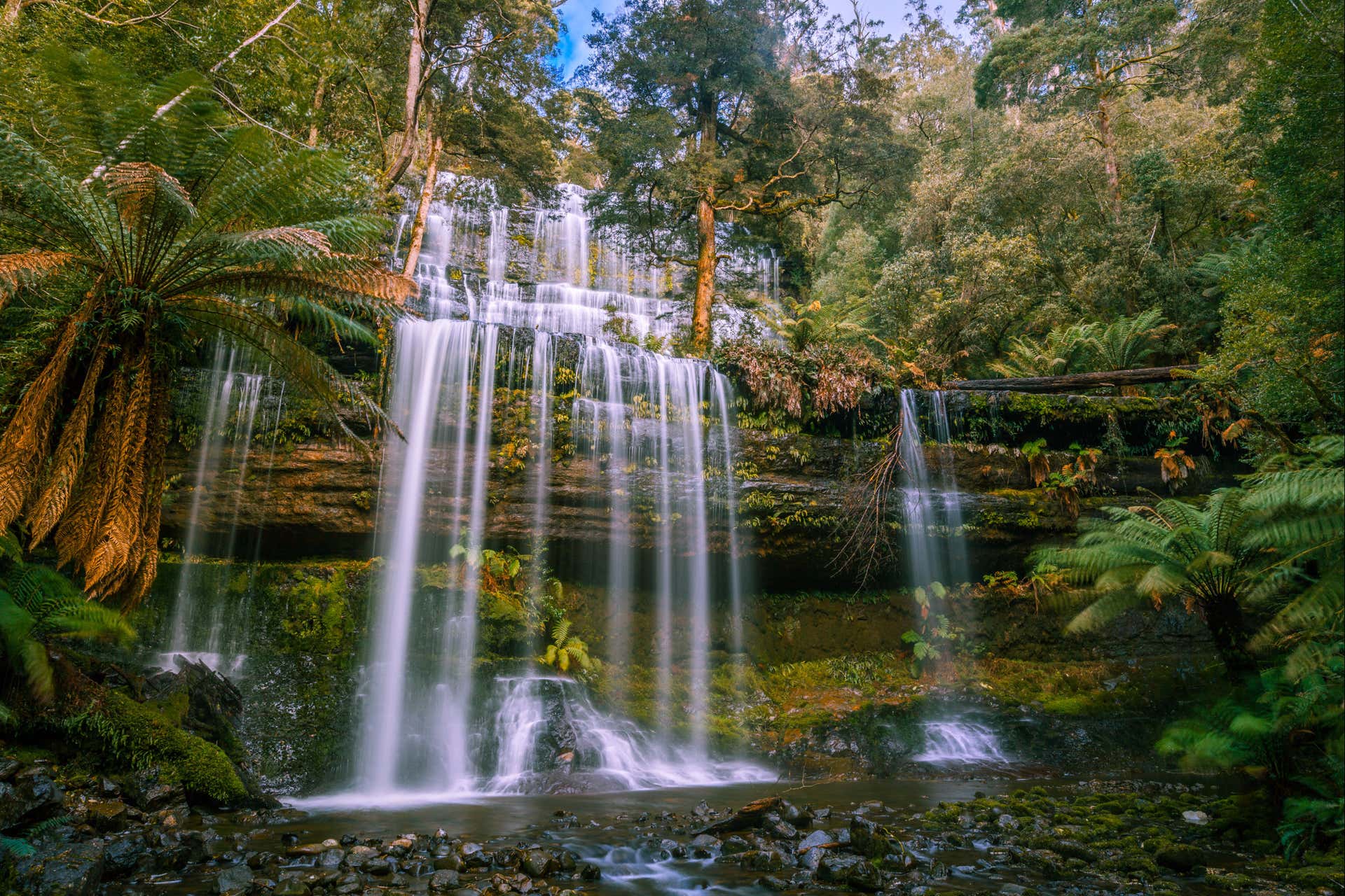 Excursión al Parque Nacional del Monte Field y Richmond desde Hobart