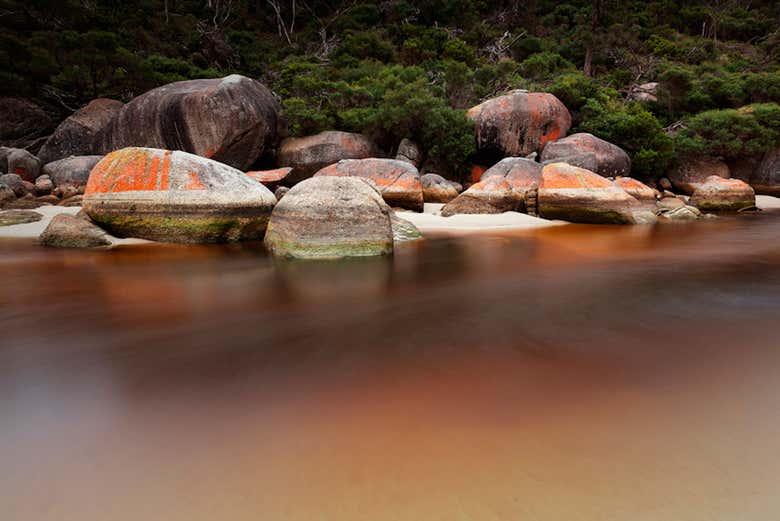 Wilsons Promontory National Park Hiking Trip from Melbourne