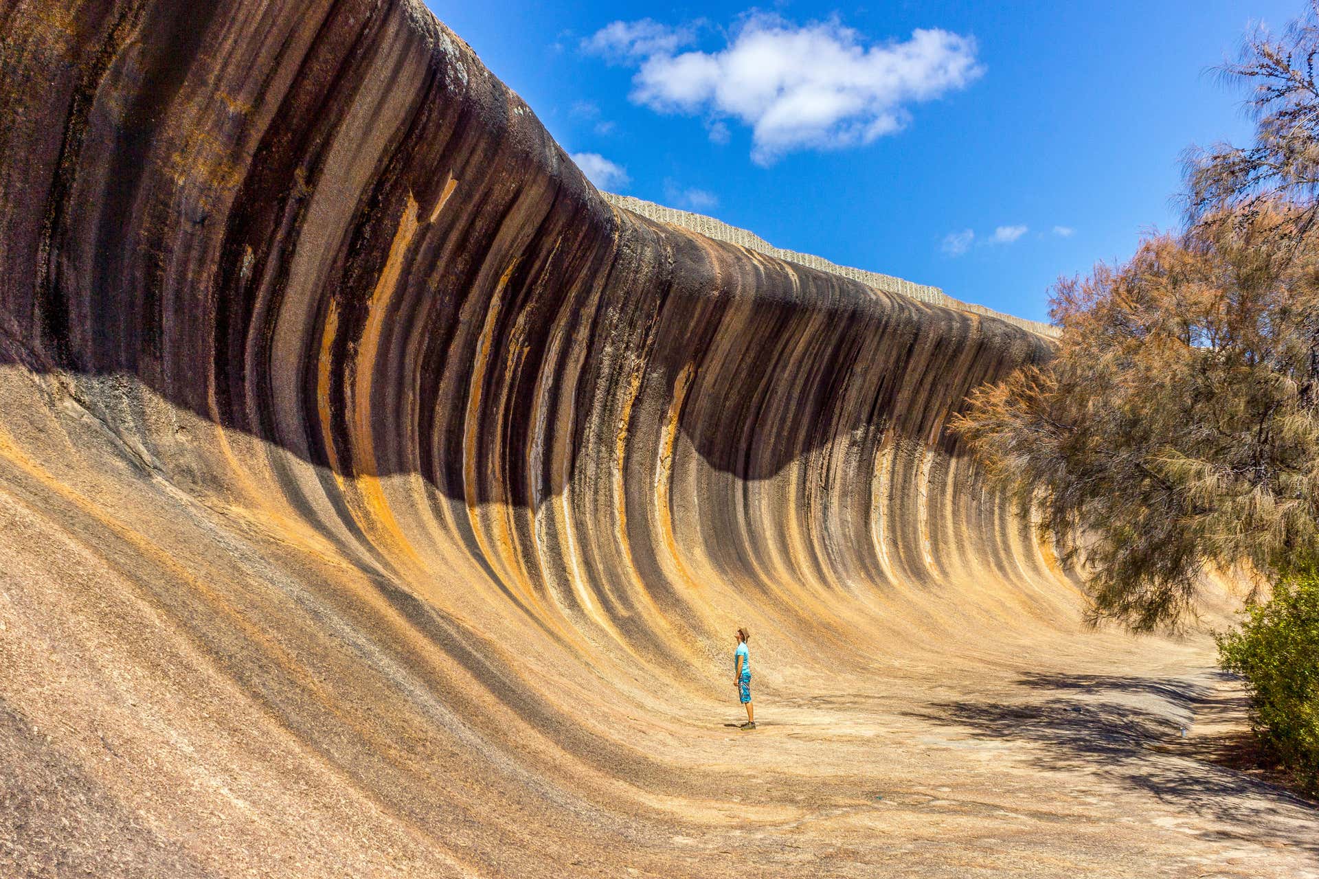 Wave Rock & York Tour from Perth - Book Online at Civitatis.com