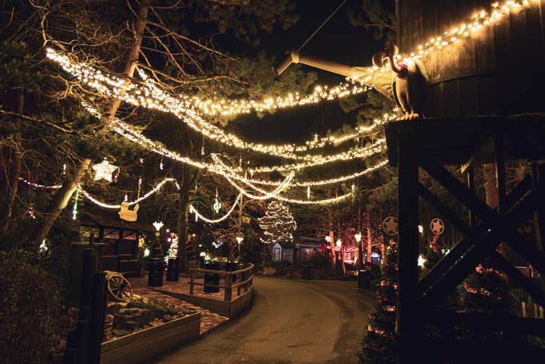 Walibi Belgium Theme Park | Official Tickets, Brussels - Civitatis