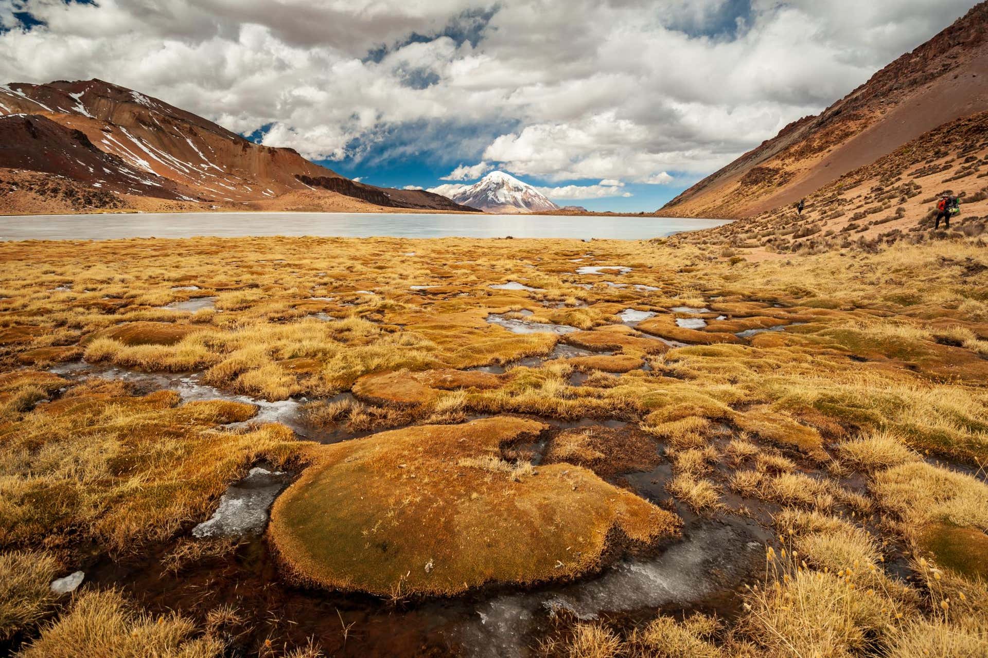 Tour de 2 días por el Parque Nacional Sajama desde Oruro