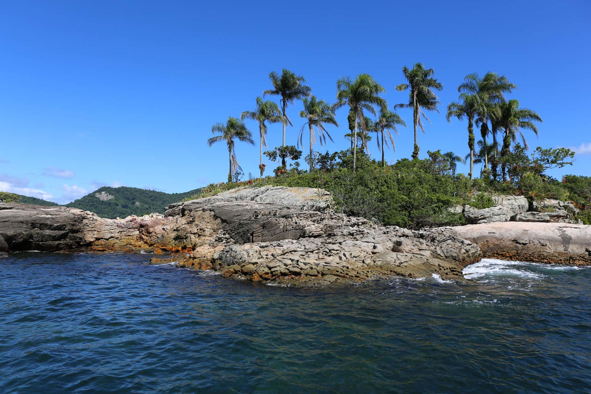 Ilhas Botinas Boat Trip + Angra dos Reis Beaches - Civitatis.com