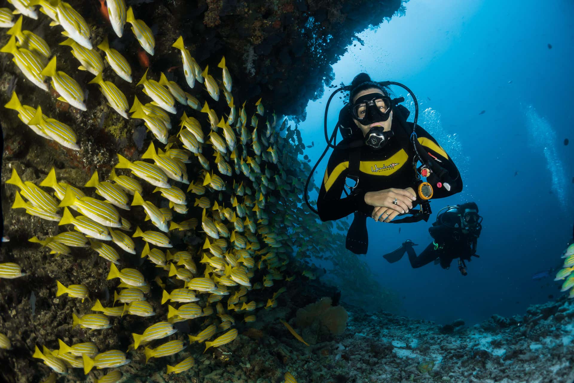 Arraial do Cabo Diving Introduction - Book Online at Civitatis.com