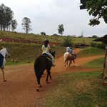 Excursões, visitas guiadas e atividades em Atibaia - Civitatis Brasil