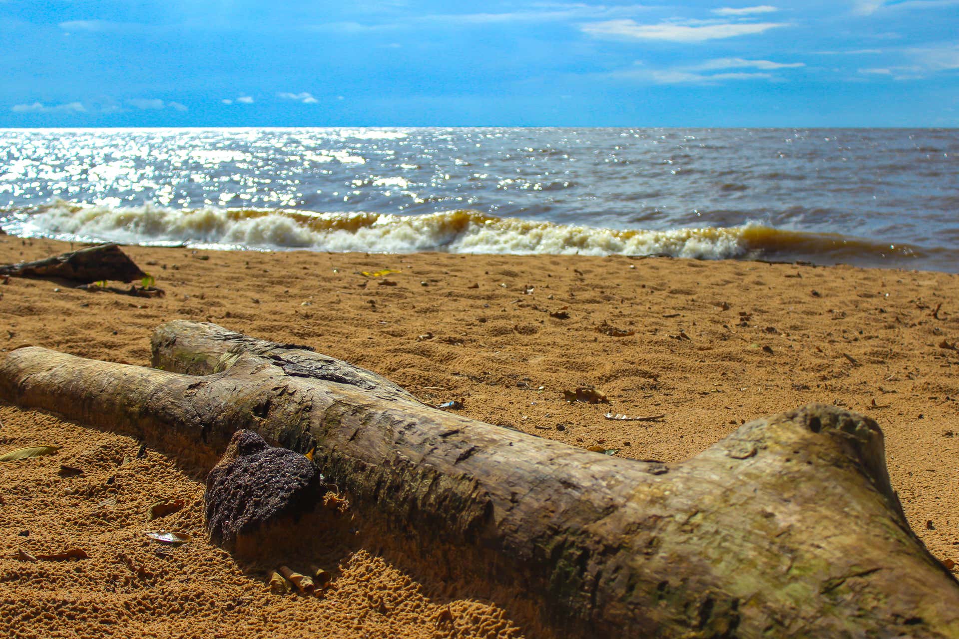 Tour pela ilha de Mosqueiro saindo de Belém - Civitatis.com