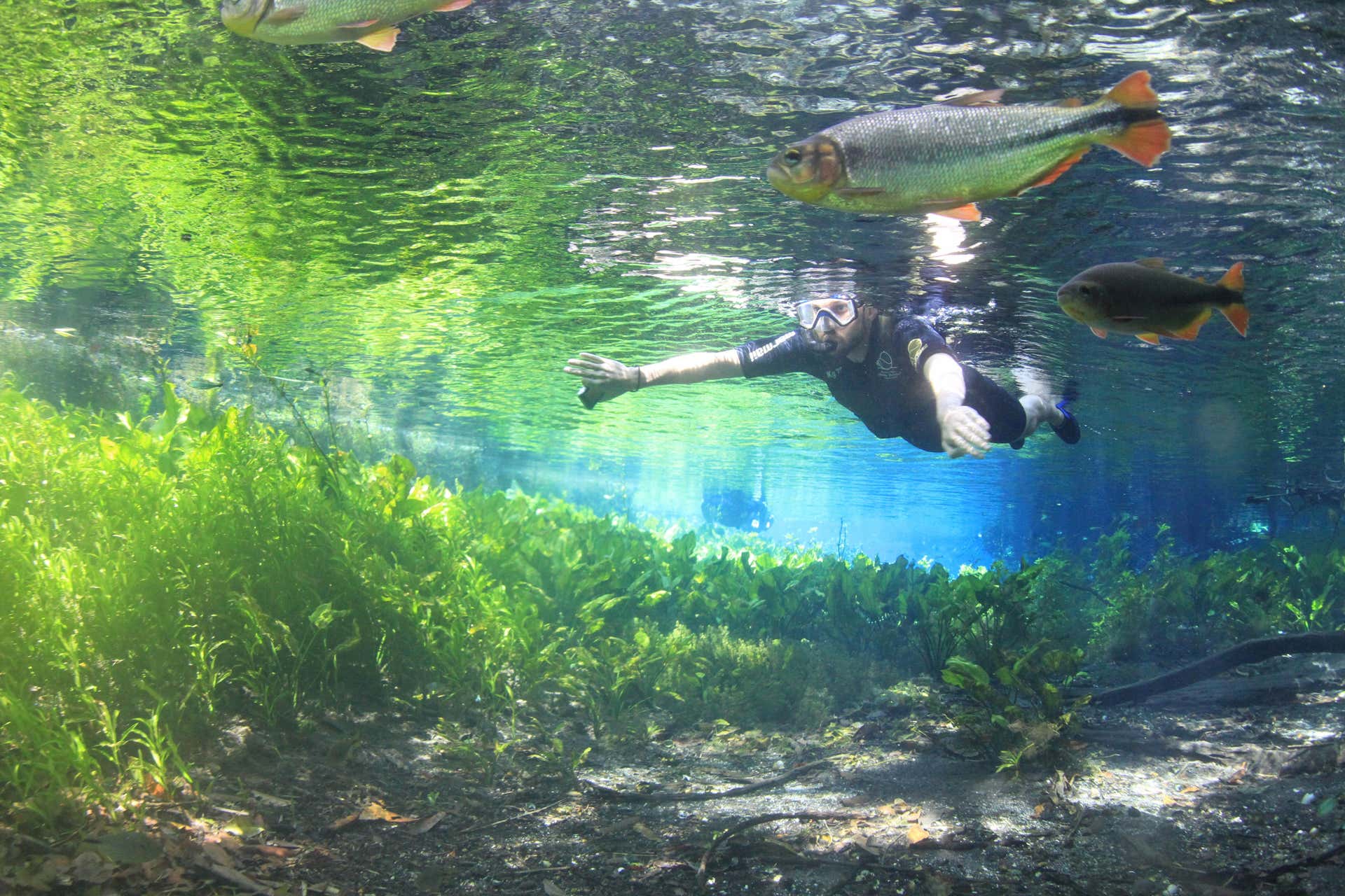 Snorkelling in the Baía Bonita River, Bonito