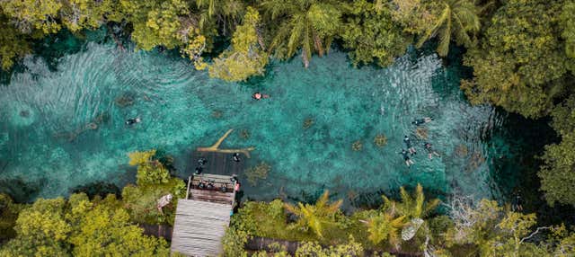 Snorkelling in the Bonito River - Book Online at Civitatis.com