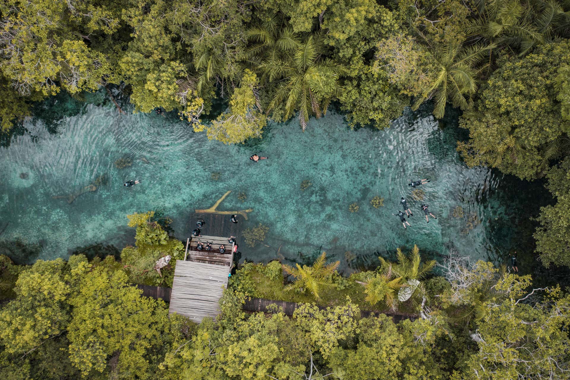 Snorkelling in the Bonito River - Book Online at Civitatis.com