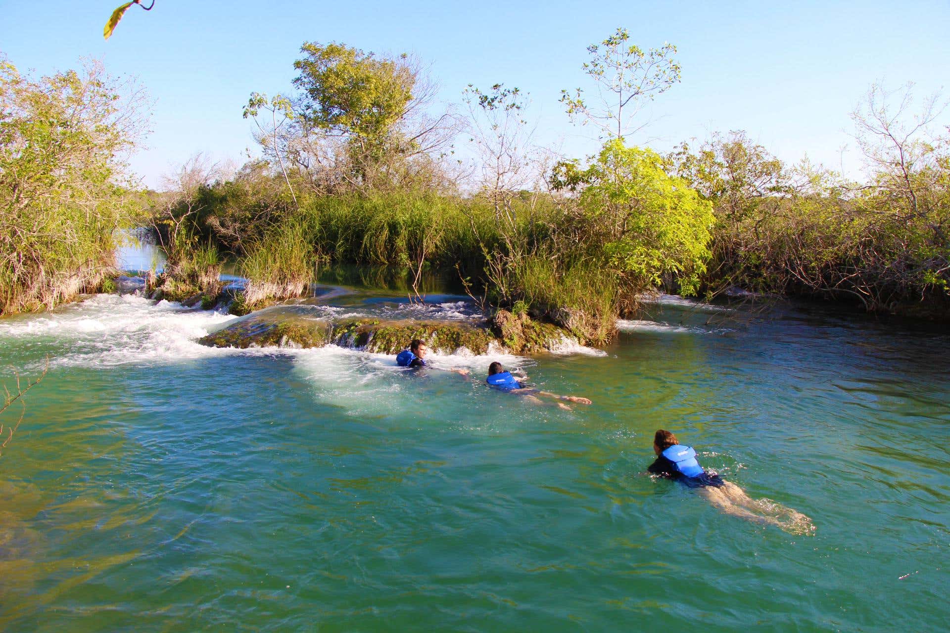 Snorkelling in the Formoso River, Bonito
