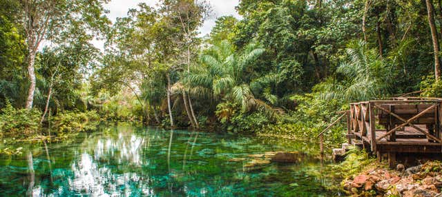 Mergulho de flutuação no rio Sucuri saindo de Bonito - Civitatis Brasil