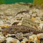 Bonito: tours, excursiones y actividades al mejor precio - Civitatis