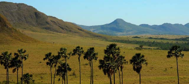 Brazilian Cerrado Day Bike Excursion from Brasilia - Civitatis.com