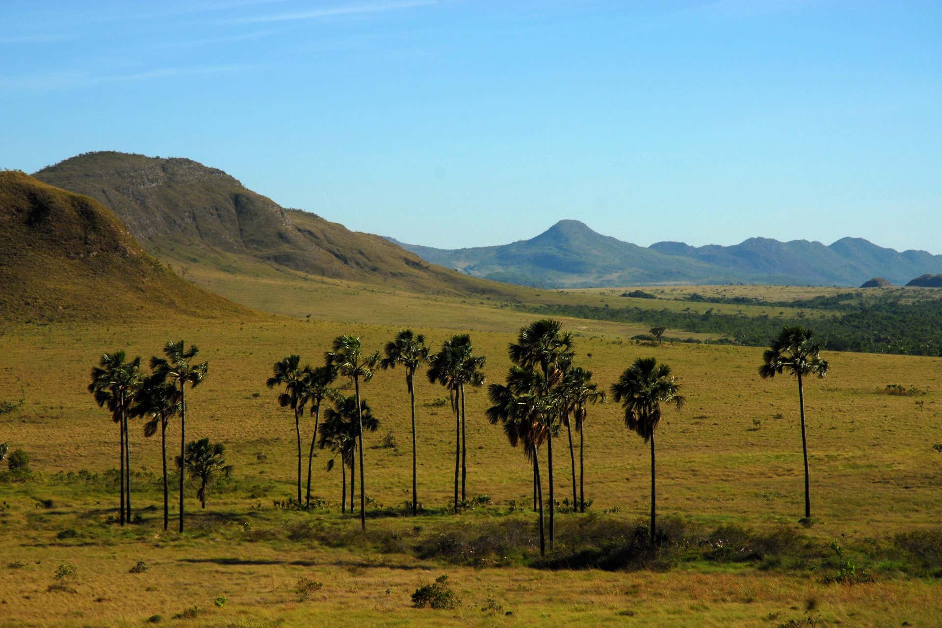 Tour de bicicleta pelo cerrado, Brasília