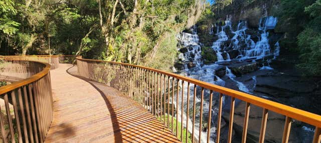 Entrada al Parque del Caracol, Canela - Civitatis.com