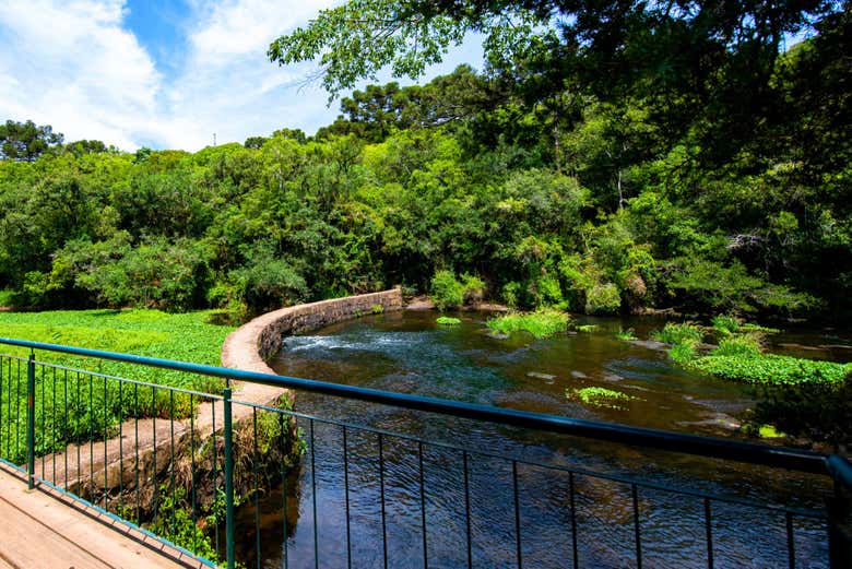 Entrada al Parque del Caracol, Canela - Civitatis.com